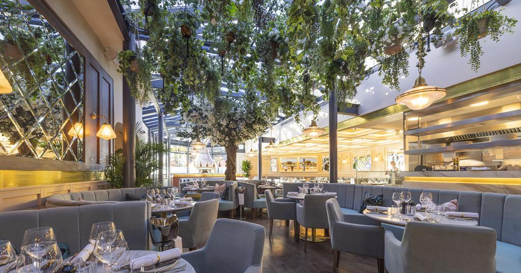 Individual Restaurants: ‘We’re a better version of ourselves ...