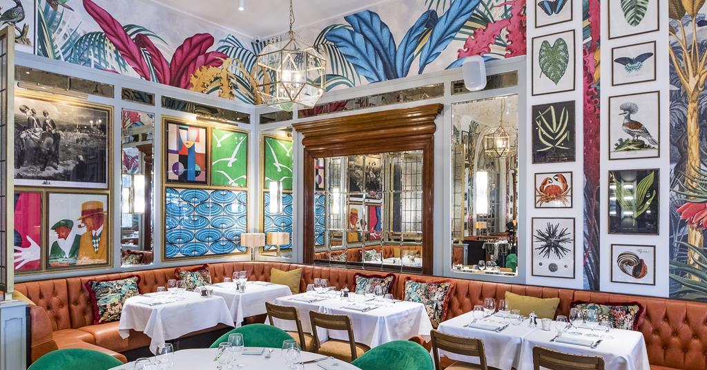 The Ivy Collection: ‘We have a formula that works’ | Opinion | MCA Insight