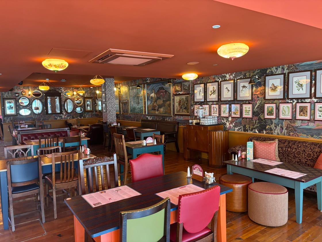 Loungers celebrates 300 sites | News | MCA Insight