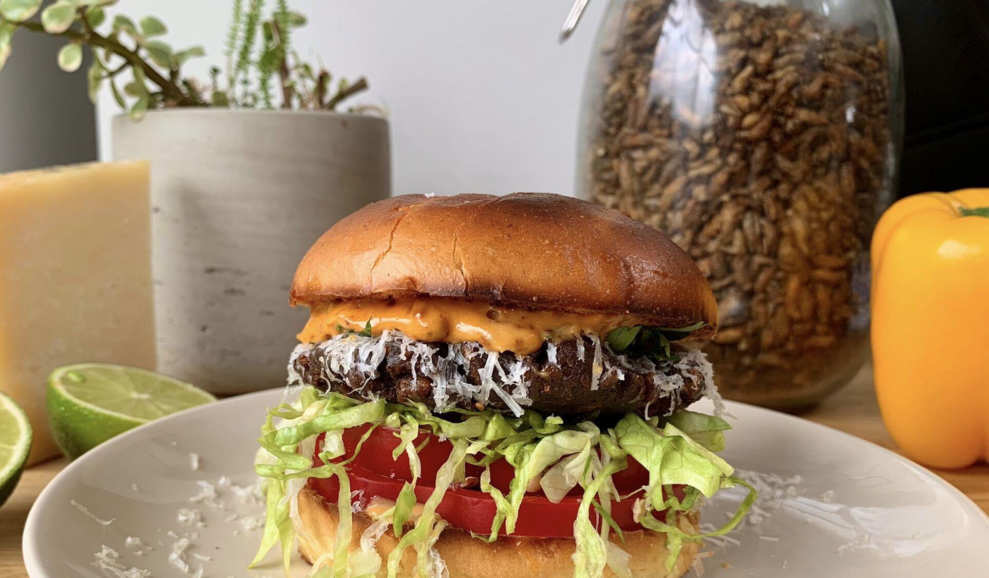 Bug burgers – coming to a bar near you? | Analysis & Insight | MCA Insight